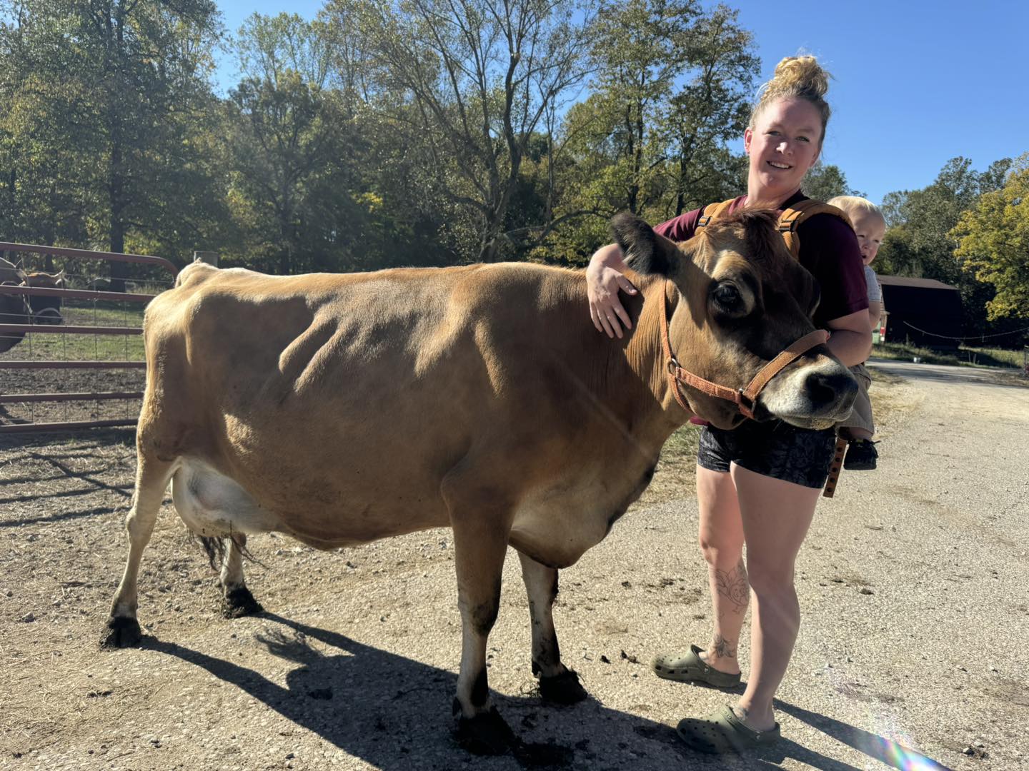 Home | Henderson Farm Store